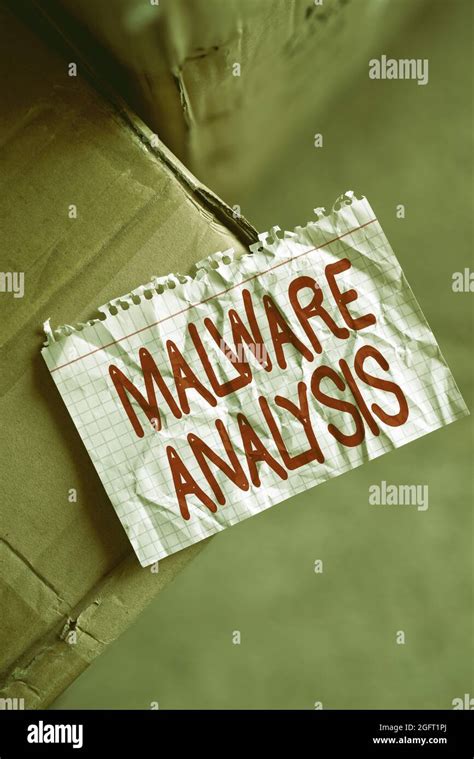 Conceptual Caption Malware Analysis Business Idea Performs Deep Analysis Of Evasive And Unknown