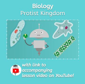 Biology Protist Kingdom By Miacademy And MiaPrep TPT