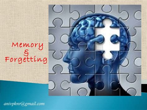 memory and forgetting