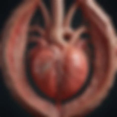 Aortic Root Diameter Key To Cardiovascular Health