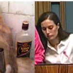 Monkey See Monkey Do Meme Generator Imgflip Monkey See Monkey Do Meme Generator Imgflip