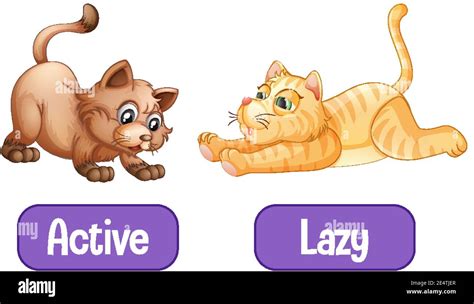 Opposite Words With Active And Lazy Illustration Stock Vector Image And Art Alamy