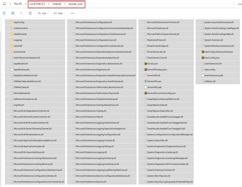 Option B Manual Deploy Powerserver 2025 Help