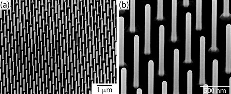 Vitamin K 1 10 Mg Ml Injectable Solution [veta K1] Semantic Scholar