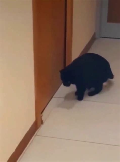 Best Hunter Tumbex Best Hunter Tumbex