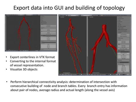 Ppt Patient Specific Reconstruction Of Vascular Network For Hemodynamic Modeling Powerpoint