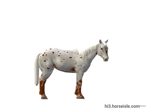 Horse Isle 3 Big Book Of Breeds