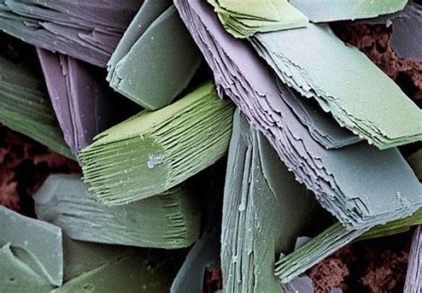 Everyday Items Under A Microscope 27 Pics