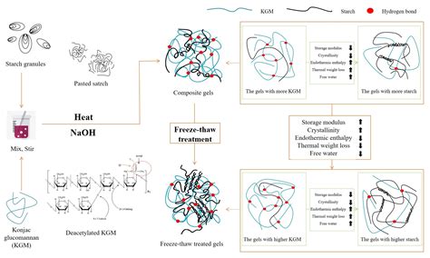 The Effect Of Different Ratios Of Starch And Freeze Thaw Treatment On The Properties Of Konjac