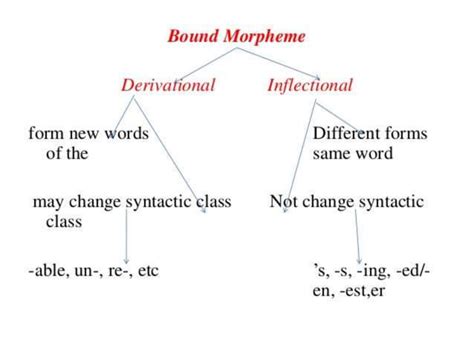 Morphology 150301031003 Conversion Gate01 Pptx Geology Science