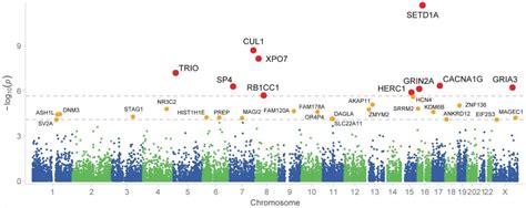 Two Large Studies Reveal Genes And Genome Regions That Influence