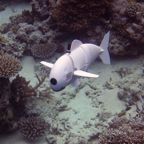 Robotic Fish Swims Through Water By Mimicking The Movement Of A Tuna