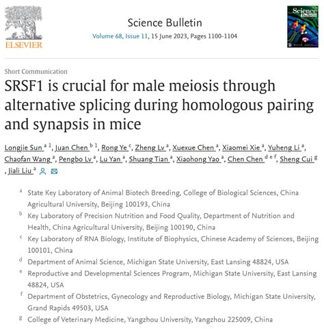 中国农业大学生物学院 科研进展 Sci Bull 刘佳利课题组揭示srsf1调控小鼠减数分裂同源染色体配对和联会的新机制