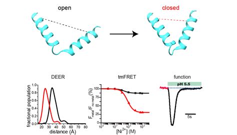 Structural Dynamics Bankston Lab