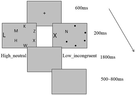example of trial sequence and example display with high load neutral