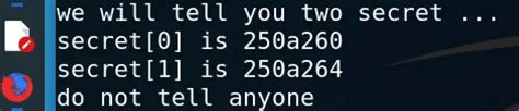 攻防世界xctf Pwn入门11题解题报告xctf Shellcode Csdn博客 攻防世界xctf Pwn入门11题解题报告xctf Shellcode Csdn博客