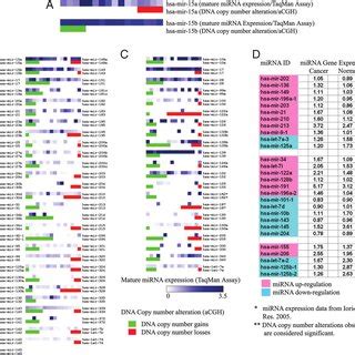 Correlation Analysis Between DNA Copy Number Alteration And MiRNA