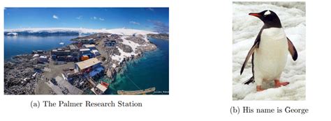 Exploratory Data Analysis In R Using Penguins Dataset Sample Paper