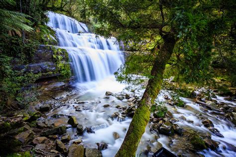 Is Australias GST Achieving Its Revenue Capacity Austaxpolicy The Tax And Transfer Policy Blog