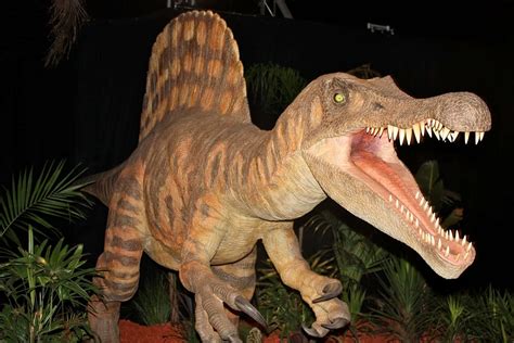 [400 ] Dinosaur Pictures