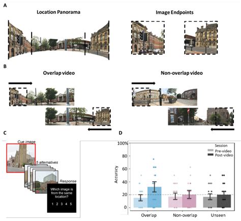 Stimuli Used In The Experiment And Results From The Behavioural Tasks