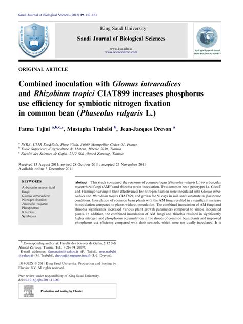 Pdf Co Inoculation With Glomus Intraradices And Rhizobium Tropici Ciat899 Increases P Use