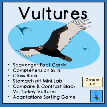 Vultures By The Science Nest Tpt