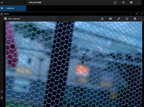Fixed Bug Windows Photos Default Photo Viewer Microsoft Community