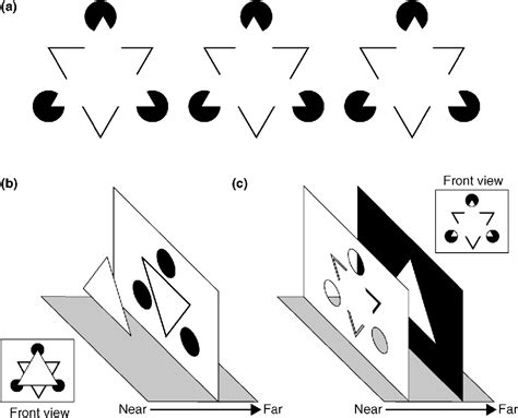 Figure From Neural Computations Underlying Depth Perception Semantic Scholar