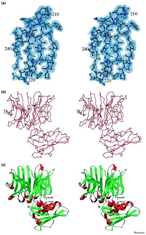 The Structure Of Tolb An Essential Component Of The Tol Dependent Translocation System And Its