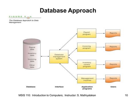 Chapter 5 Organizing Data And Information Ppt Databases Computer Software And Applications
