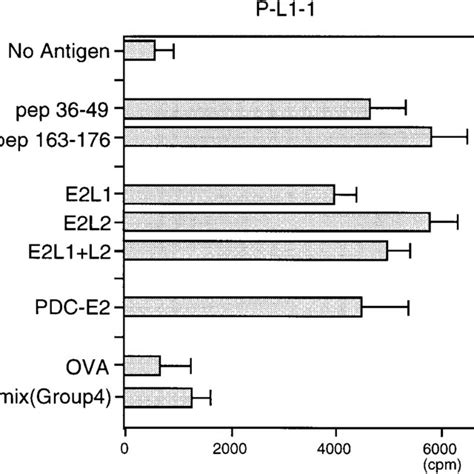 The Cross Reactivity Of T Cell Clones With Pdc E2 Components T Cell Download Scientific