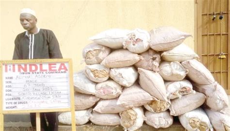 Ndlea Nabs Blind Grandpa Leper For Drug Trafficking