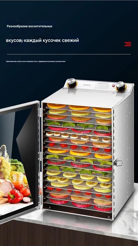 Сушилка для овощей и фруктов Дегидратор 18 лотков 800 Вт купить на Ozon по низкой цене 1887880536