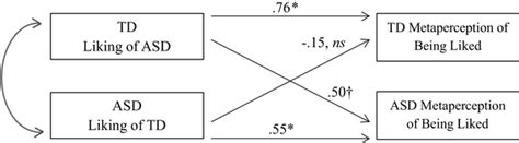 Actor Partner Interdependence Model Apim Illustrating Dyadic Download Scientific Diagram