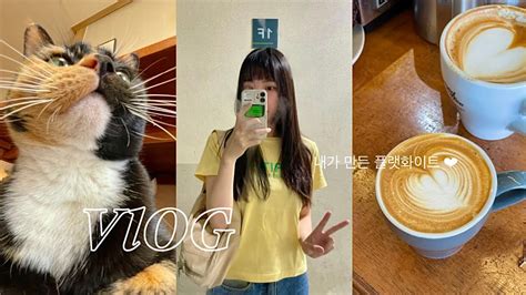 Vlog 운전 하고 밥 먹고 일 하고 커피 마시고 술도 마시는 일상 브이로그 📼 Youtube