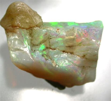 Minerals Crystals And Fossils Opalized Dinosaur Bones Australia