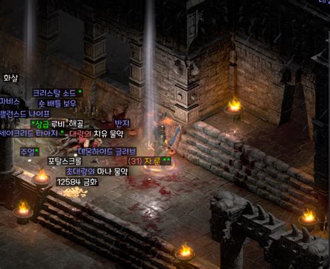 감격의 인생 디생 첫 자룬 디아블로 에펨코리아