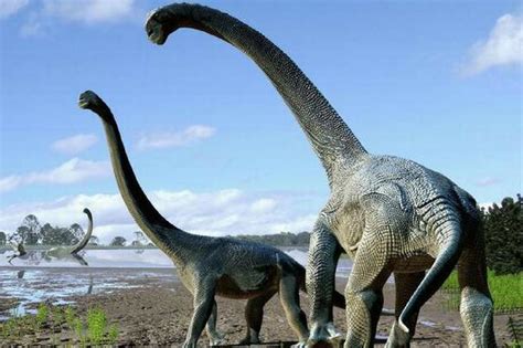 Dynasore And Call Division Implications For Cancer Research