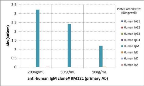 Rabbit Anti Human Igm Recombinant Secondary Antibody Invitrogen 100 μg