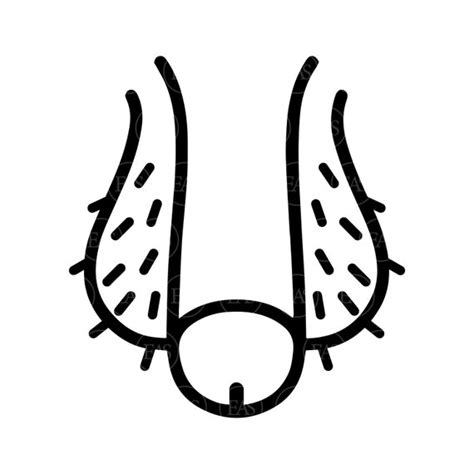 Penis With Hairy Balls Svg Clip Art Icon Vector Cut File For Etsy