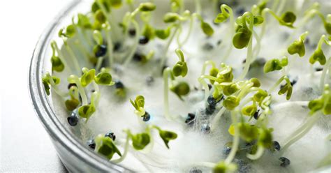 Vigor And Stress Evaluations