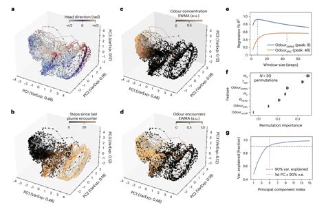 Tracking Odor Plumes With Ai Agents Using A Deep Reinforcement Learning Model Marktechpost