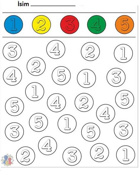 Okul Öncesi Kodlama Etkinlikleri Etkinlik Arşiv