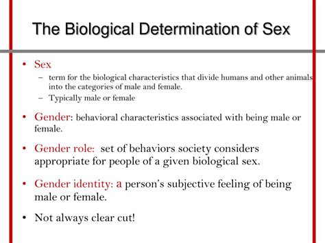 Ppt Chapter 7 Powerpoint Presentation Free Download Id790453