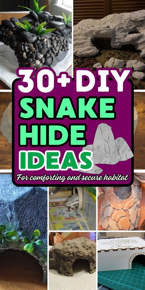 30 Unique Diy Snake Hide Ideas For Your Reptile Friends Bioactive