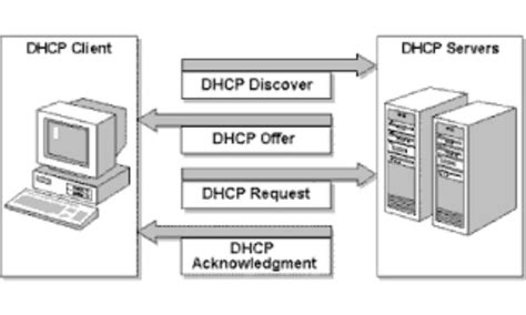What Protocol Does Dhcp Use
