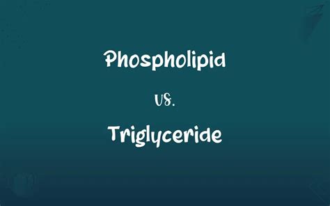 Phospholipid Vs Triglyceride Whats The Difference