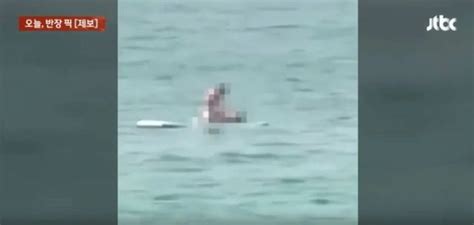 어제자 강원도 고성에서 음란행위한 커플 ㄷㄷㄷ