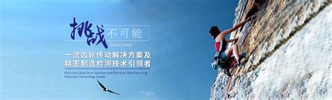 德力佳传动科技江苏有限公司